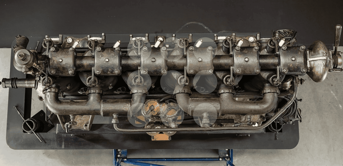 Taurus Models – Gothaforce